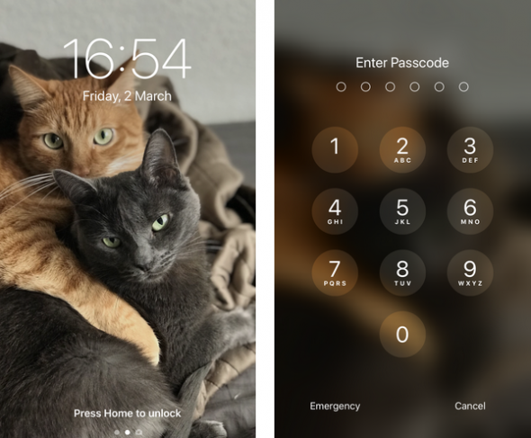 How to unlock iPhone and trust computer?