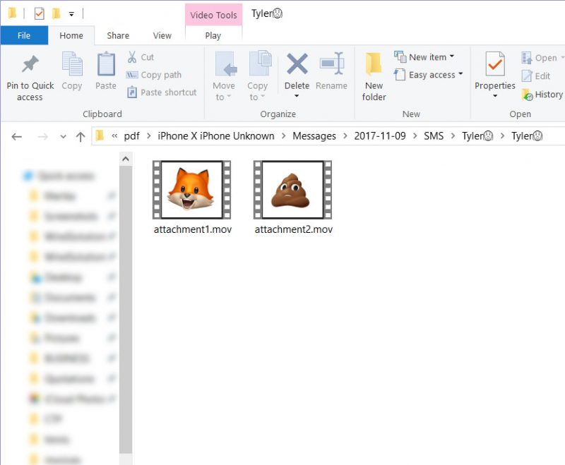 How to save Animoji on PC