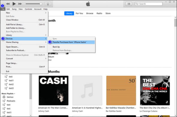 How to put music on a flash drive from iPhone?