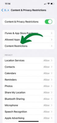 [SOLVED] Fix Screen Recording Not Working - 2025 Guide