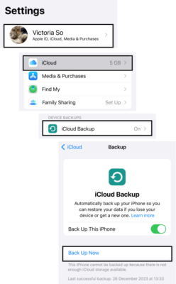 How to back up files to iCloud from iPhone and Windows?