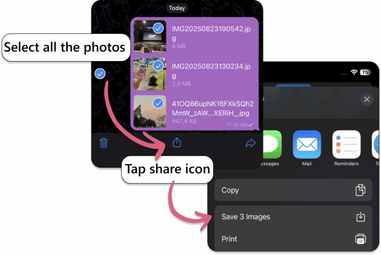 5 Trusted Ways to Transfer Photos from Samsung to iPhone